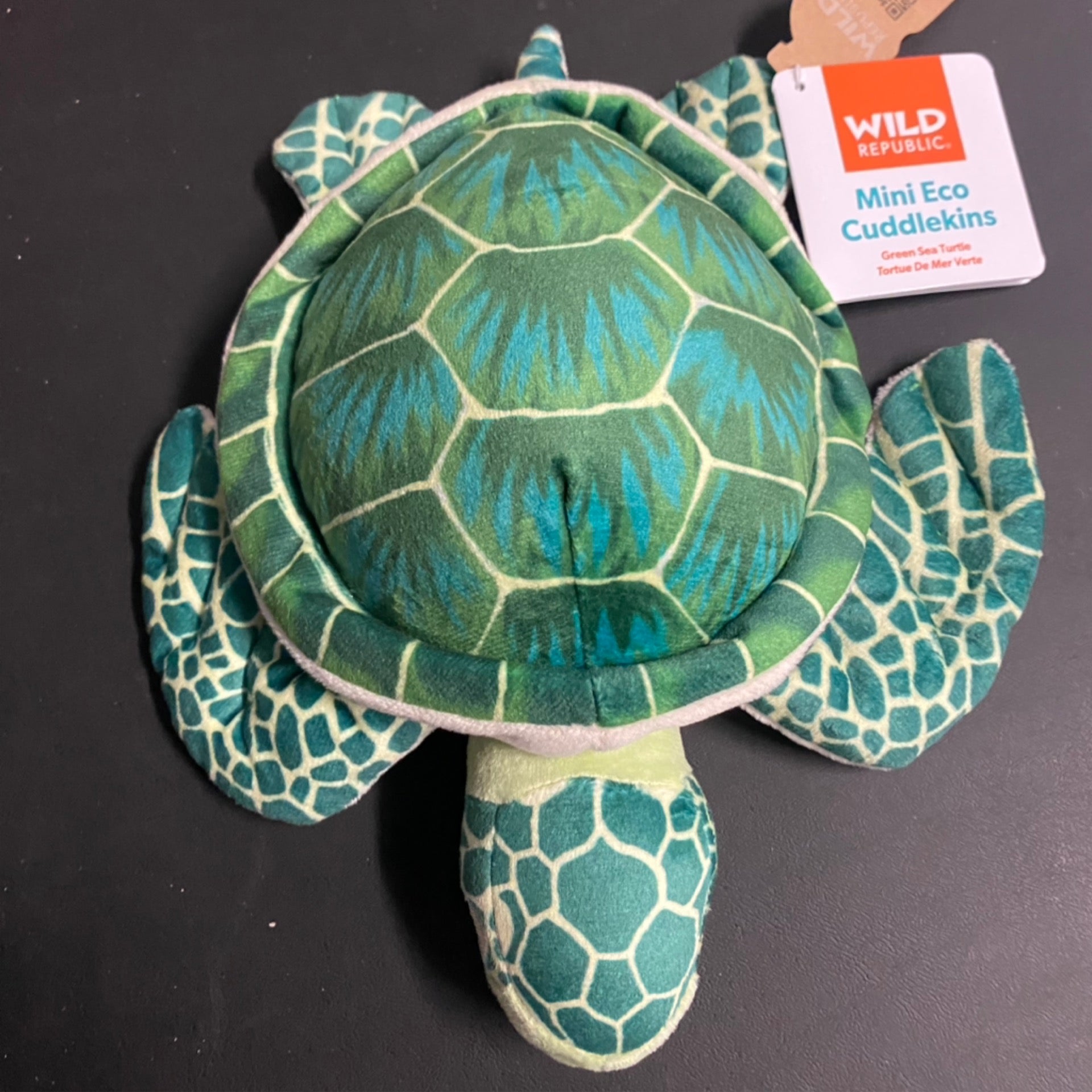 8" Eco MIni Green Turtle | Navarre Beach Sea Turtle Conservation Center