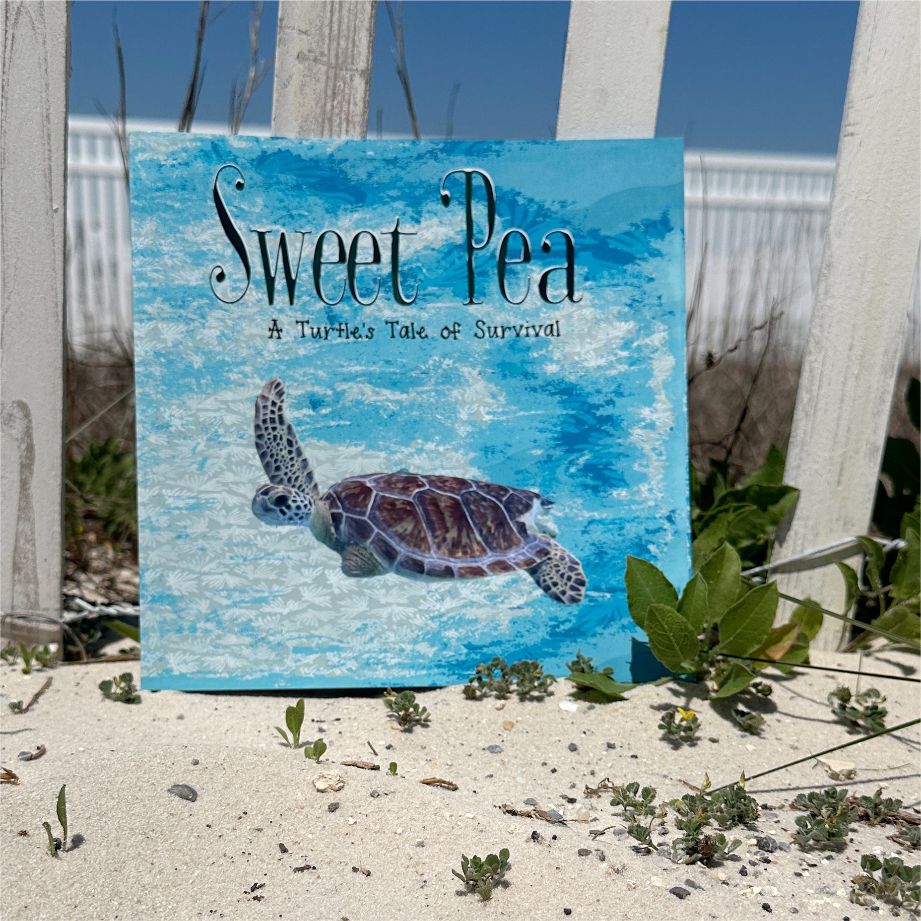 Sweet Pea's Book | Navarre Beach Sea Turtle Conservation Center