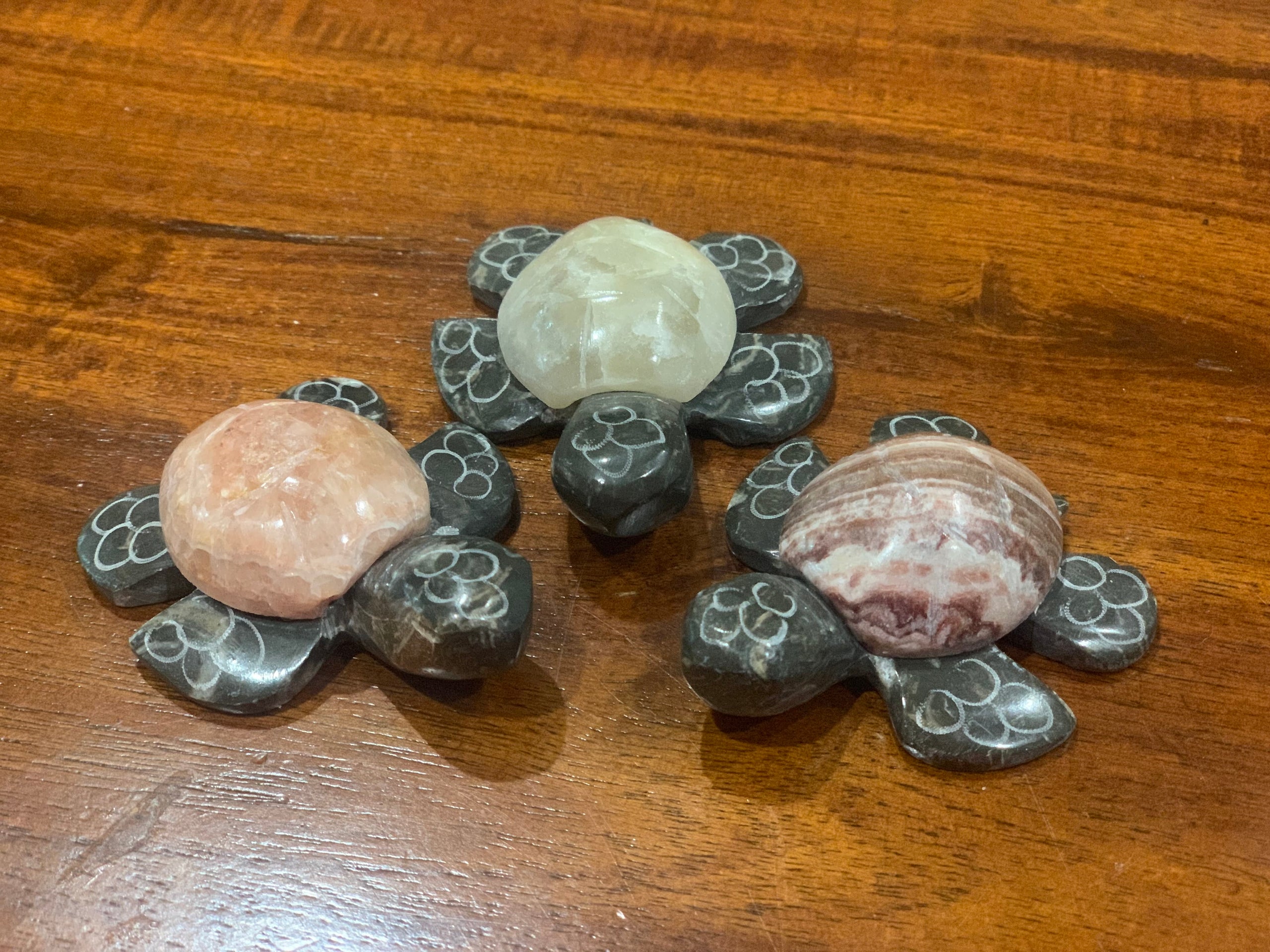 Marble Sea Turtles | Navarre Beach Sea Turtle Conservation Center