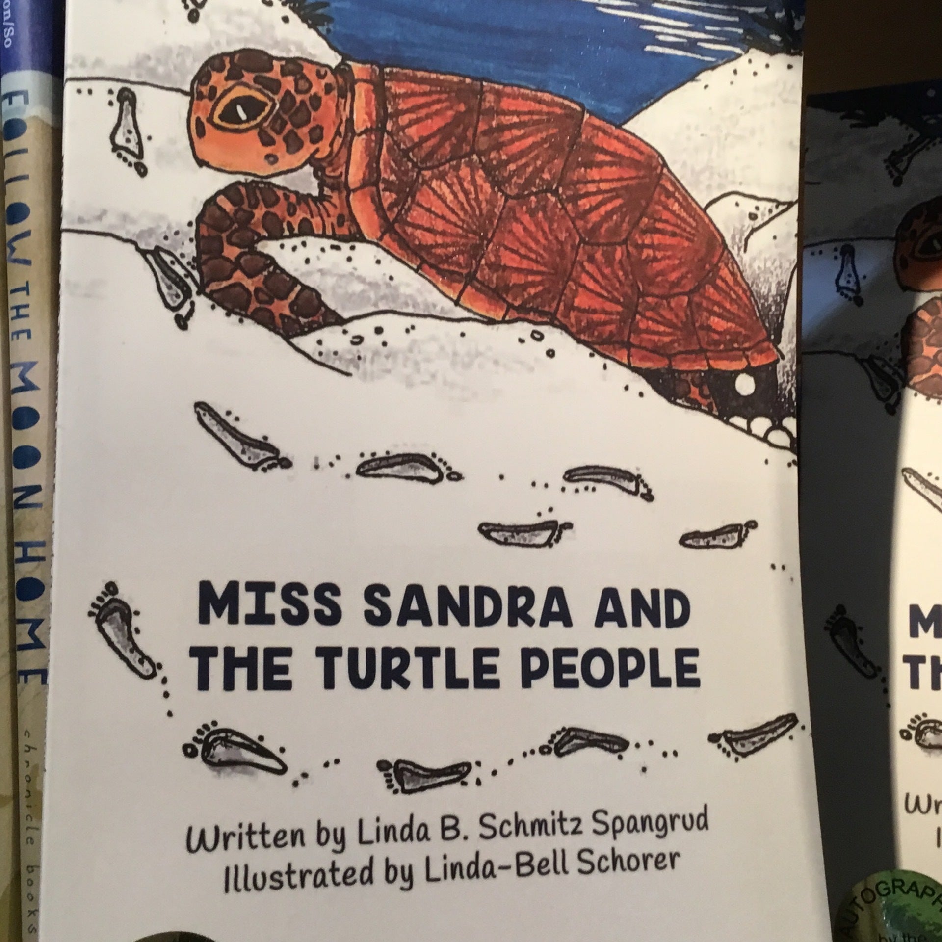 Miss Sandra and The Turtle People | Navarre Beach Sea Turtle ...