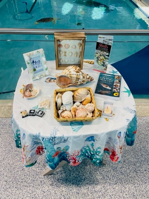 Seashell School | Navarre Beach Sea Turtle Conservation Center