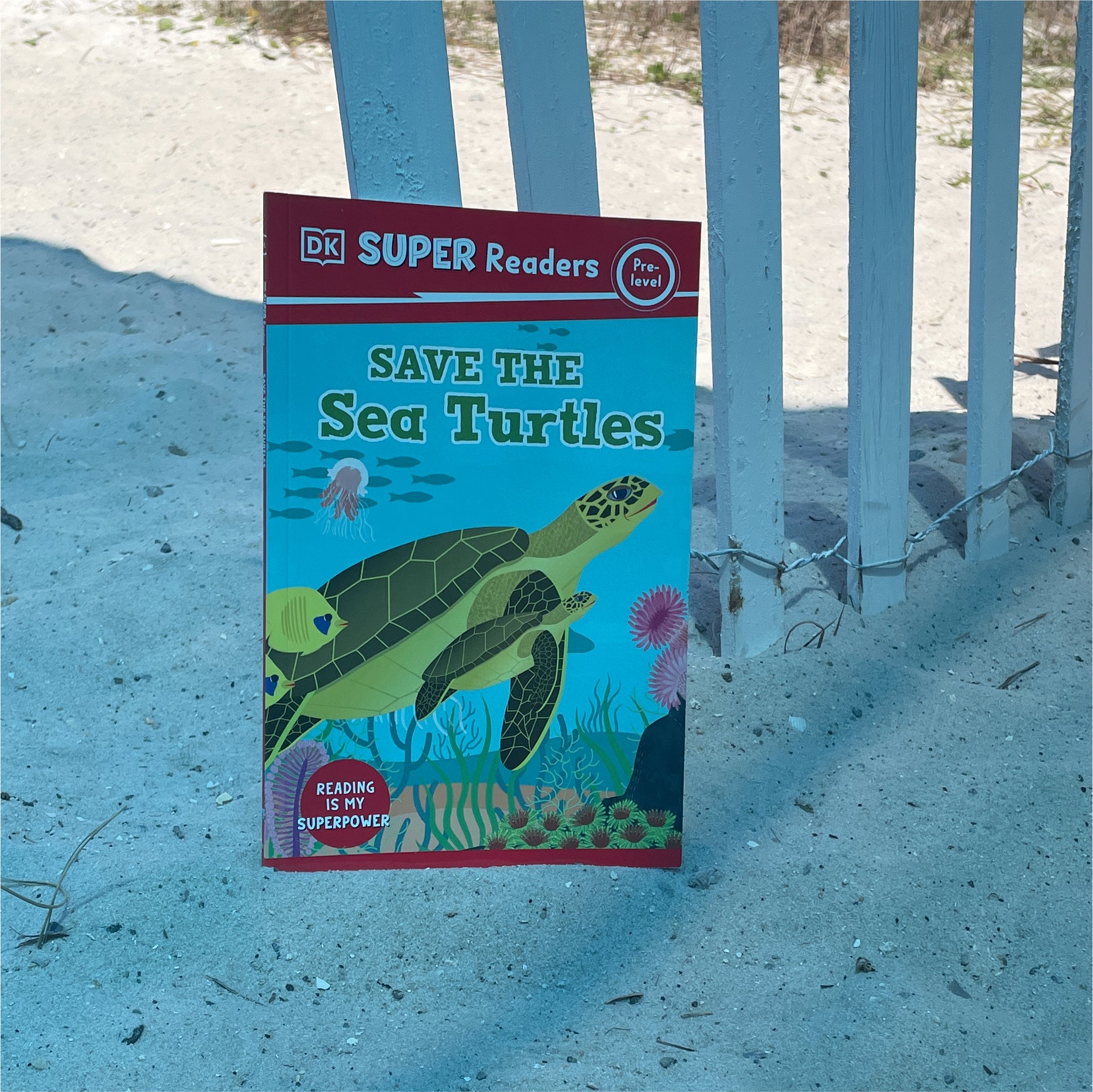 Save The Sea Turtles Book | Navarre Beach Sea Turtle Conservation Center