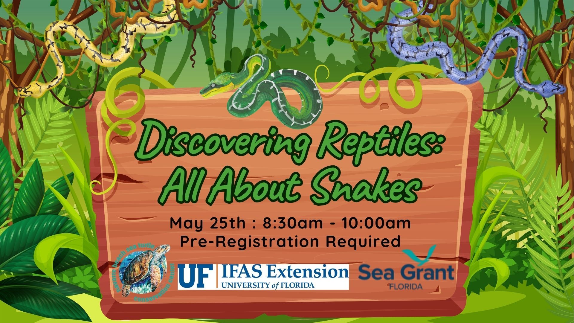Discovering Reptiles: All About Snakes | Navarre Beach Sea Turtle ...