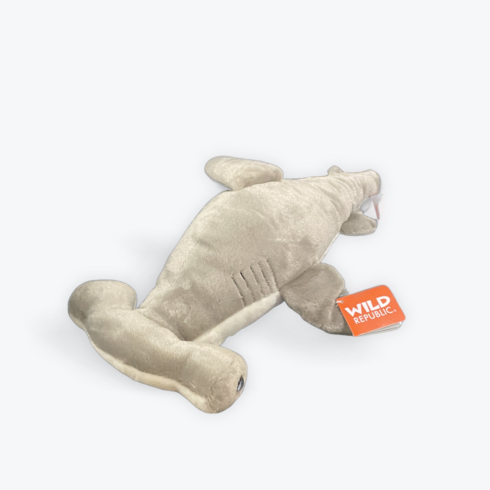 Hammerhead Shark large | Navarre Beach Sea Turtle Conservation Center