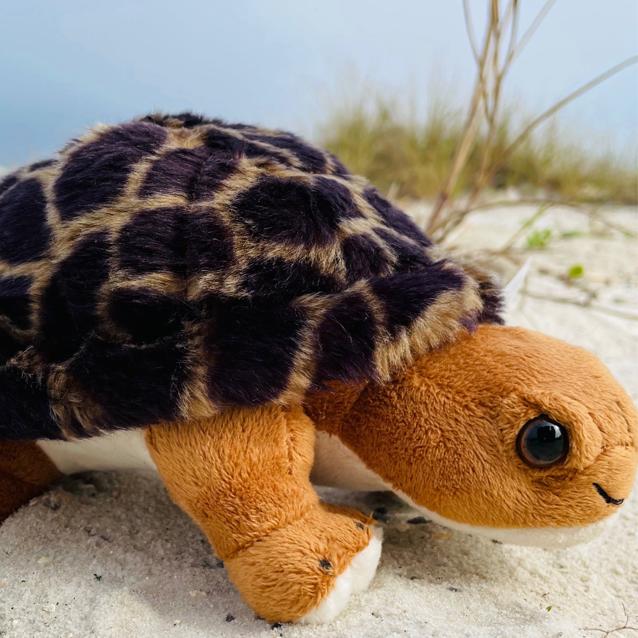 Desert Tortoise Plush 8" | Navarre Beach Sea Turtle Conservation Center